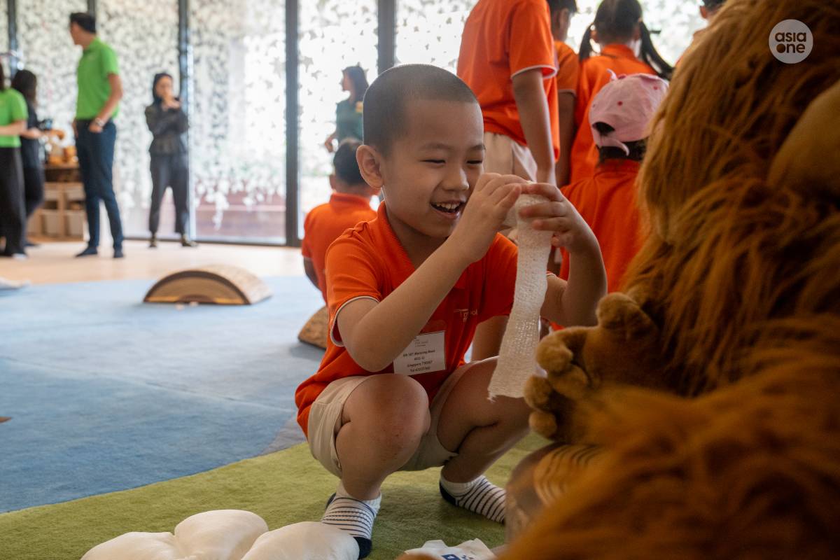 adventure-camps-wildlife-interactions-a-first-look-at-mandai-s